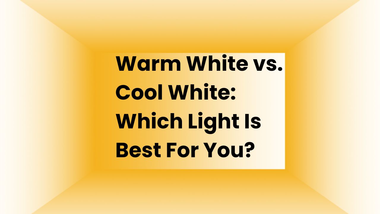 Warm White vs. Cool White: Which Light Is Best For You? - Renoovate